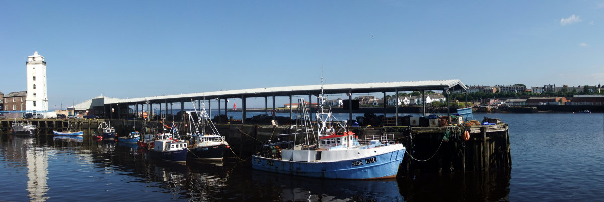 Photographs Of Newcastle: North Shields Fish Quay