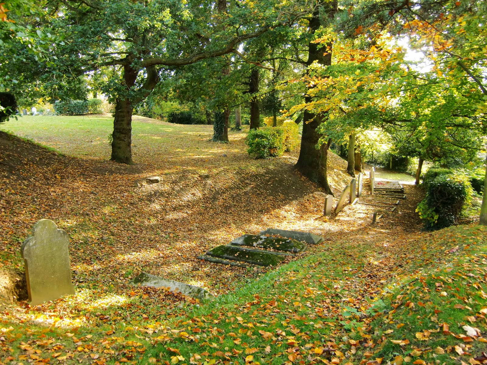 Sleeping Gardens: Autumn Glory in Ipswich, Suffolk