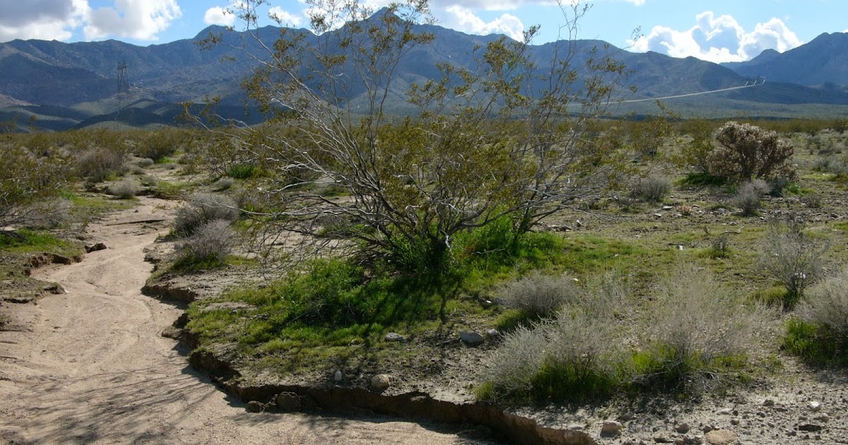 Ephemeral Stream Definition