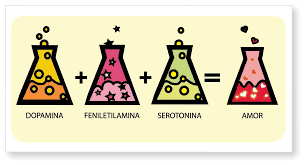 El desván secreto: La química del amor