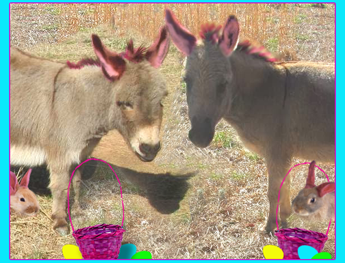 Margs Animals: A very Happy Easter to everyone.