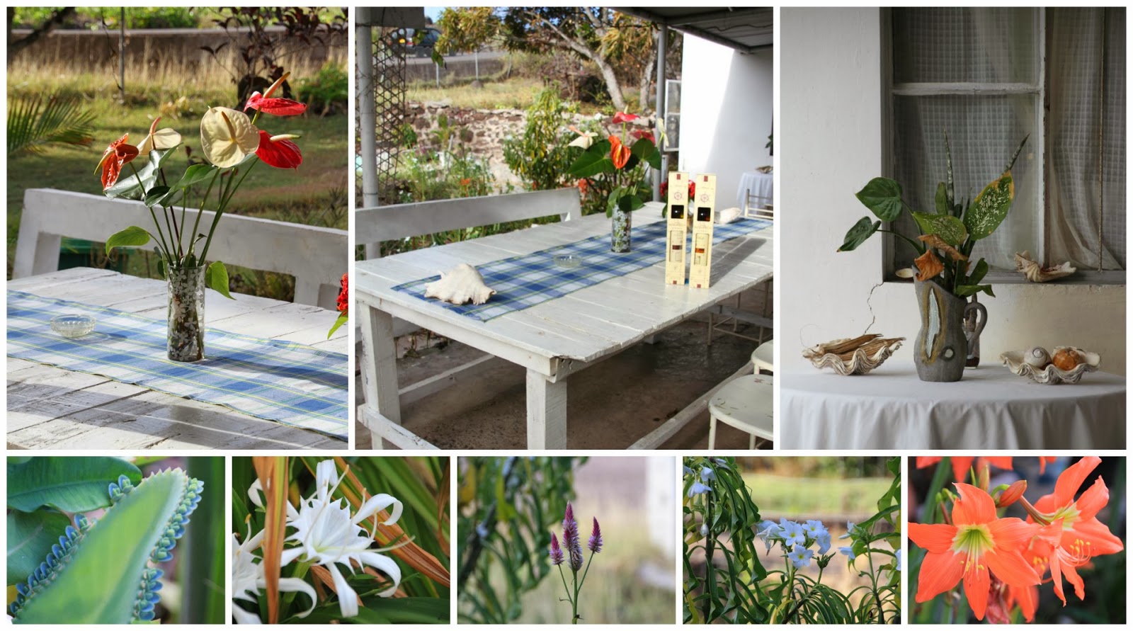 Voyages et Expériences : Rodrigues: La Caze Mourouk, Immersion Rodriguaise!