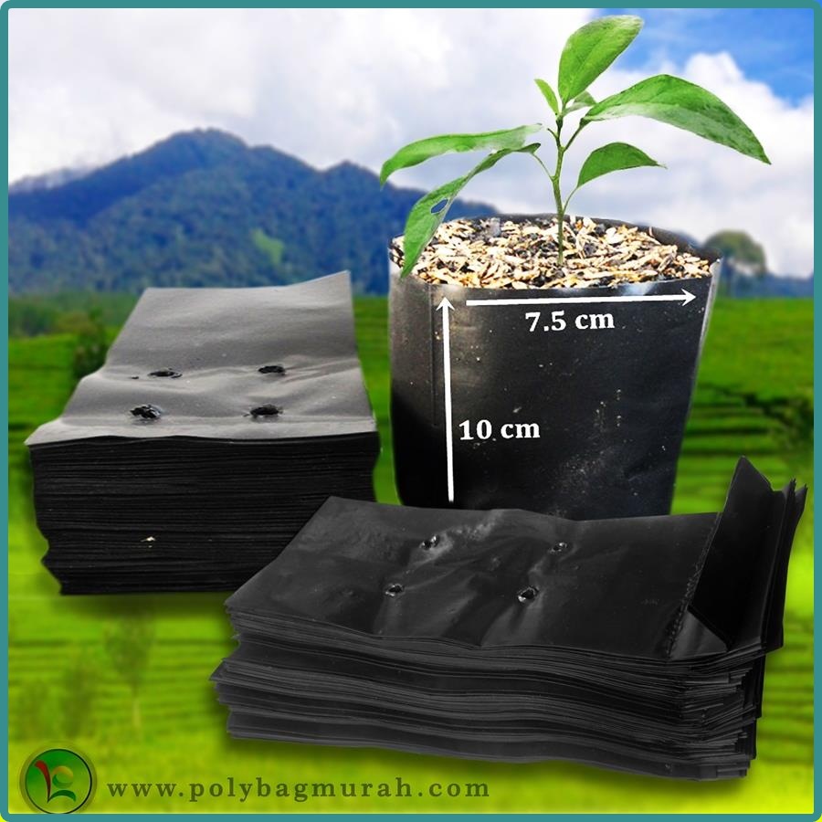 Mengenal Macam-macam Ukuran Polybag - Jual Polybag Murah