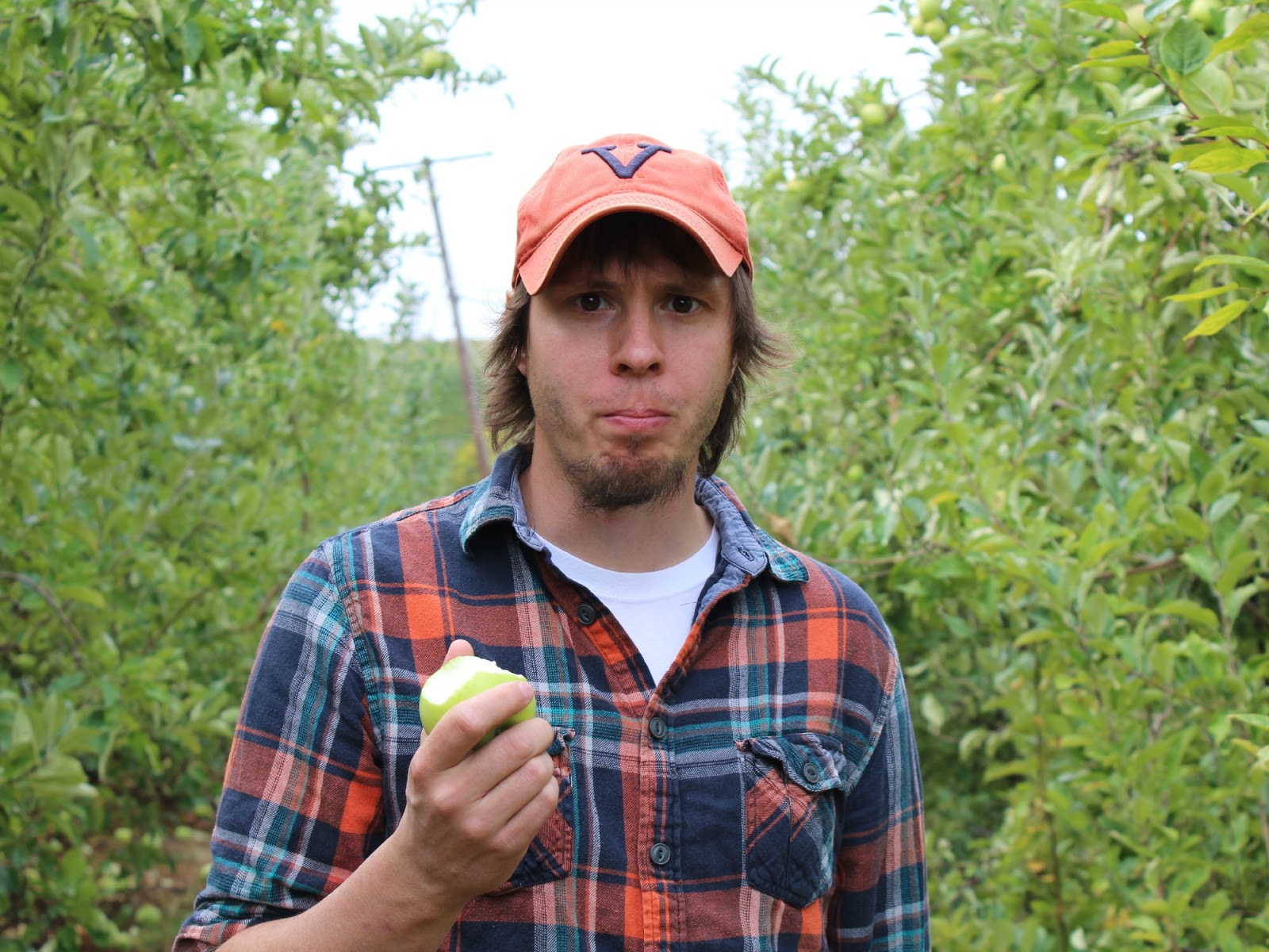 hoping for rocketships: 2015