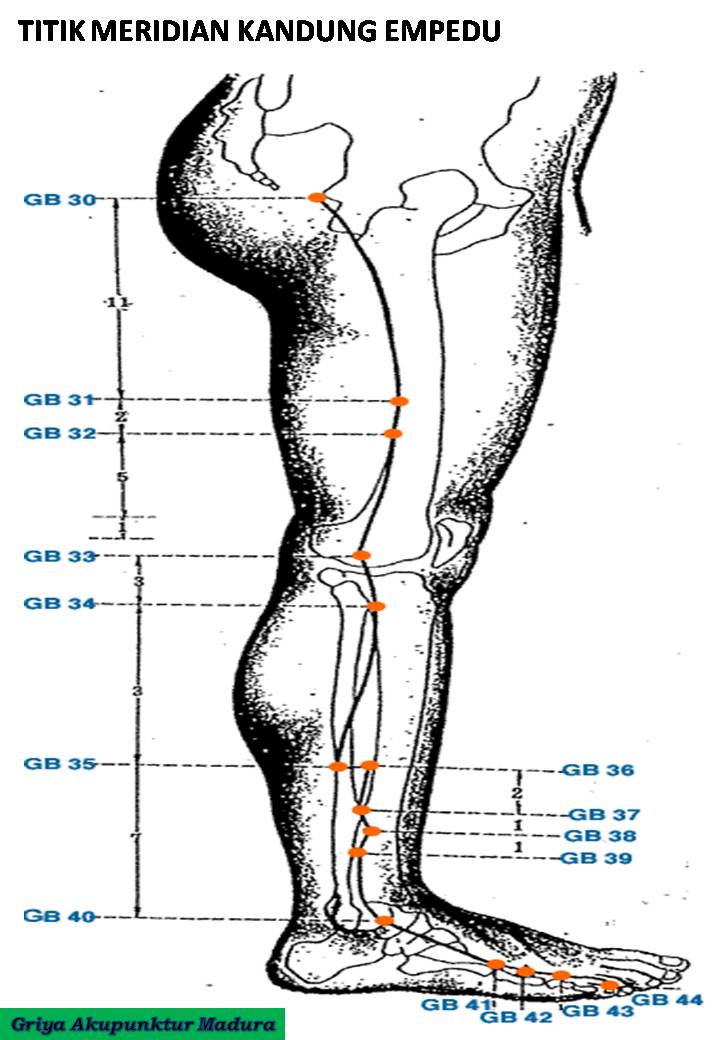 Ilmu Titik Meridian Akupuntur Dan Akupresur