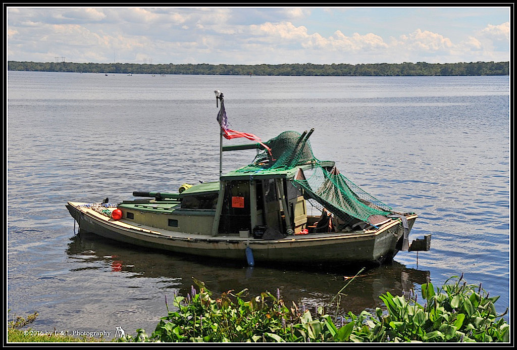 Ocala, Central Florida & Beyond: Gun Boat