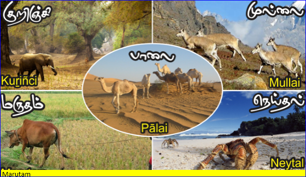 Kalvisolai Tamil G.K: திணை - பெரும்பொழுது - சிறுபொழுது