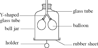 Blog Sains PT3: Q&A Form 3 : Chapter 1