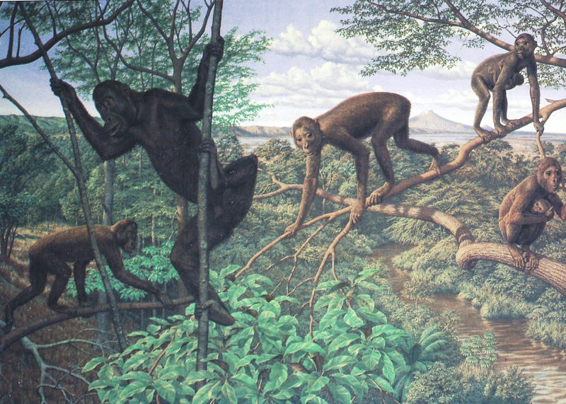 AGATHAUMAS: M'ammalia: gli scenari cenozoici di Jay Matternes