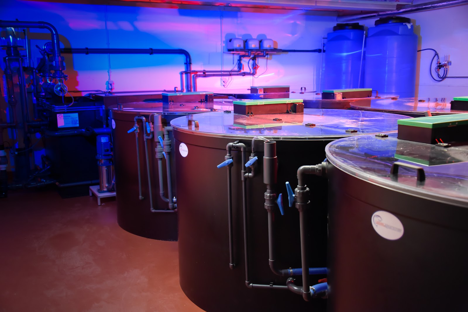 The Aquaculturists: 25/10/2017: Complex engineering in aquaculture