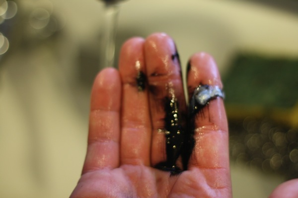 Diary of a Locavore: SQUID INK // the local food report