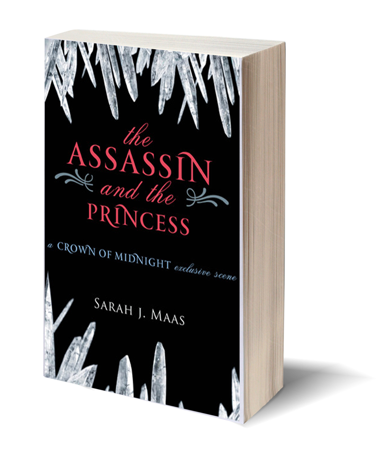 She is a Bookaholic: Recenze: The Assassin and the Princess and The ...