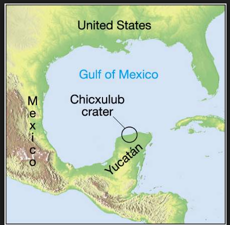 Chicxulub Crater Underwater