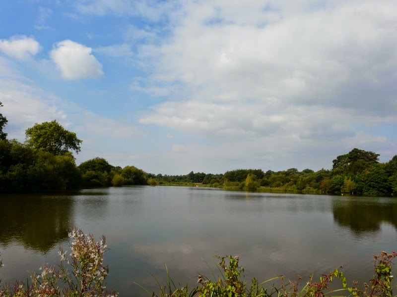 Cindy's Snaps: Hatfield Forest (stomping ground of my Hatfield Broad ...