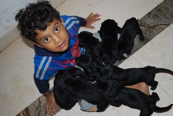 Choreographer / Director Remo D'Souza Family Photos