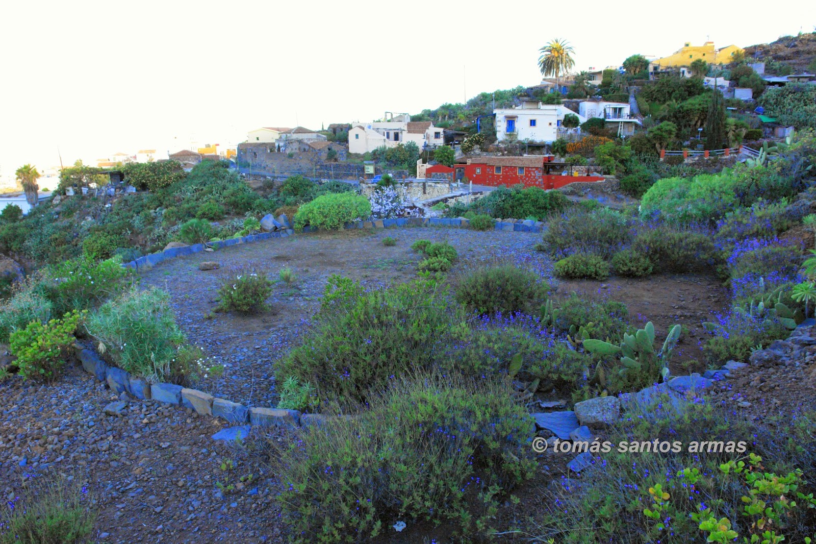 Tenerife senderos......: febrero 2015