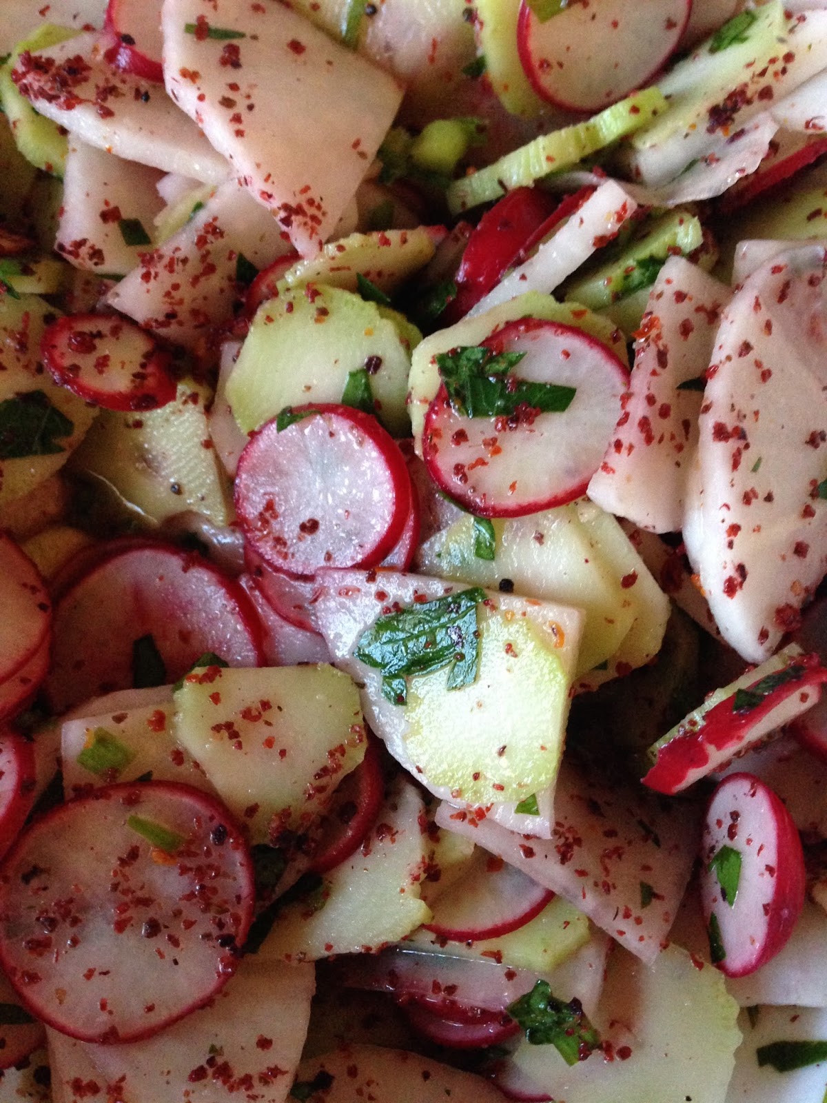5 Element Food: Radish and Broccoli Stalk Salad with Sumac