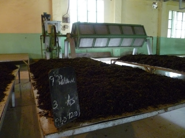 Sense and Simplicity: Tea - From India with Love