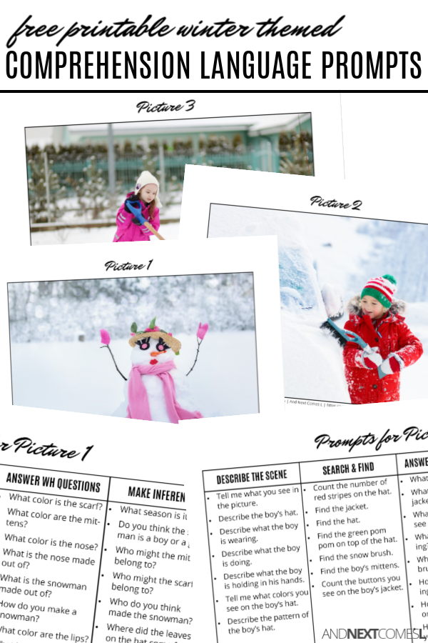 Free Printable Winter Themed Comprehension Language Prompts | And Next ...