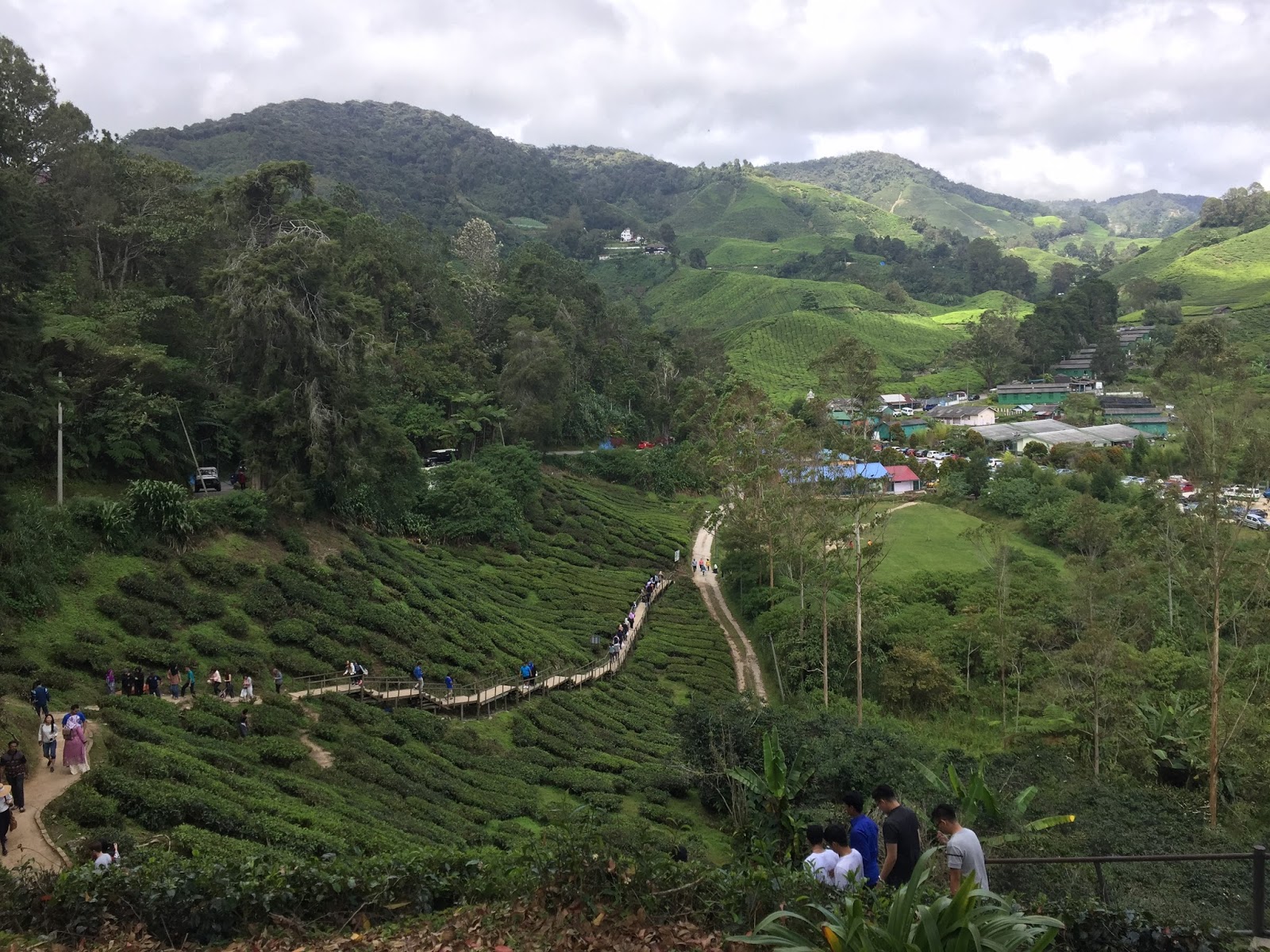 Sehari di Cameron Highland - ruang entry ku