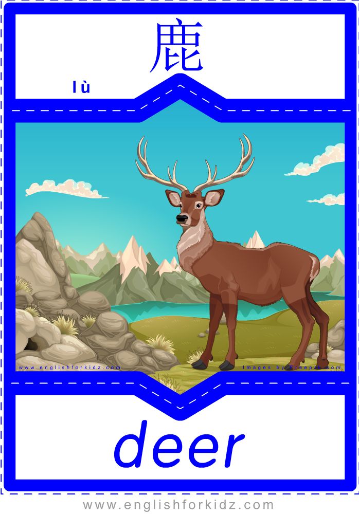English-Chinese Flashcards: Wild Animals. Part 2.