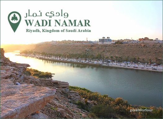 A Winter Afternoon at Wadi Namar
