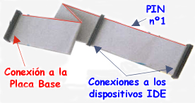 partes elementales del computador: BUS DE DATOS