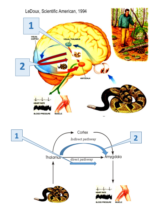 UG the enigma...: “You are nothing but FEAR” – UG.