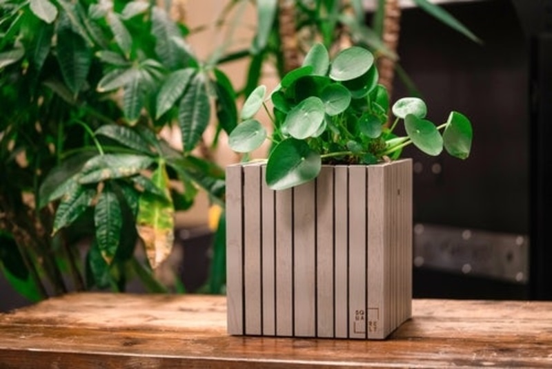 Sumptuous Things to know about Square Planter Boxes - Getting ...
