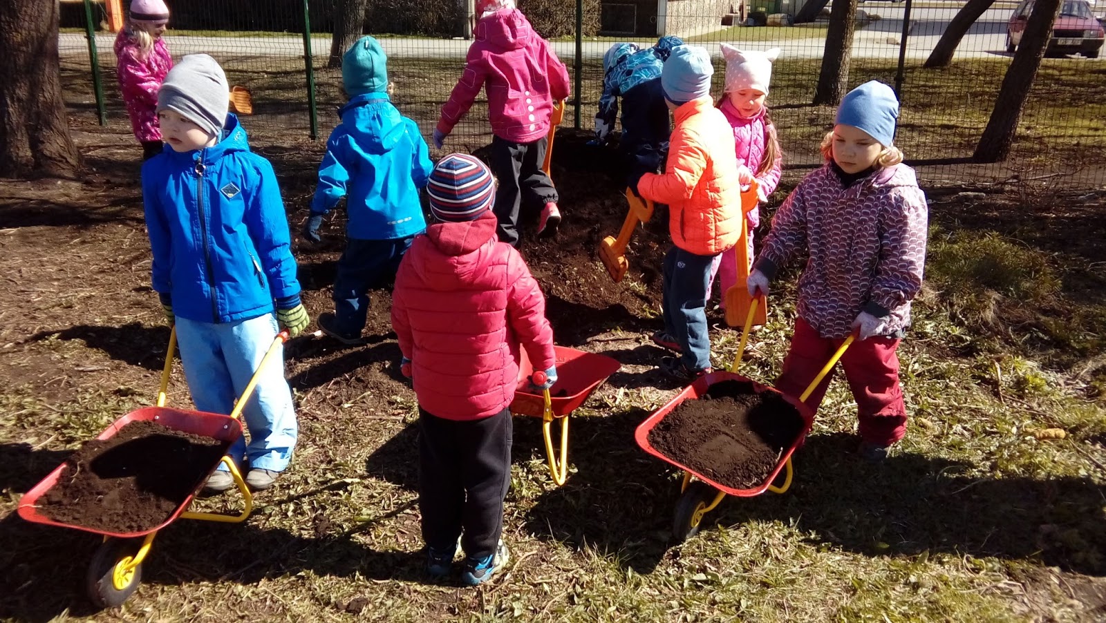 Roheline Kool Eestis Tallinna Tuule Lasteaed: Lillekastid, start!