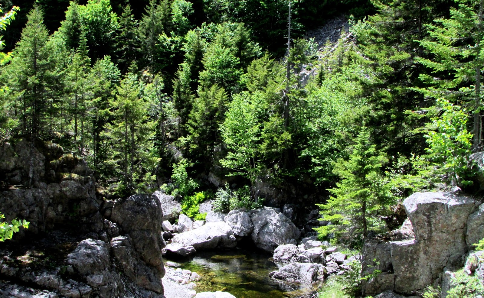 New Brunswick's Covered Bridges: Forty Five River No.1