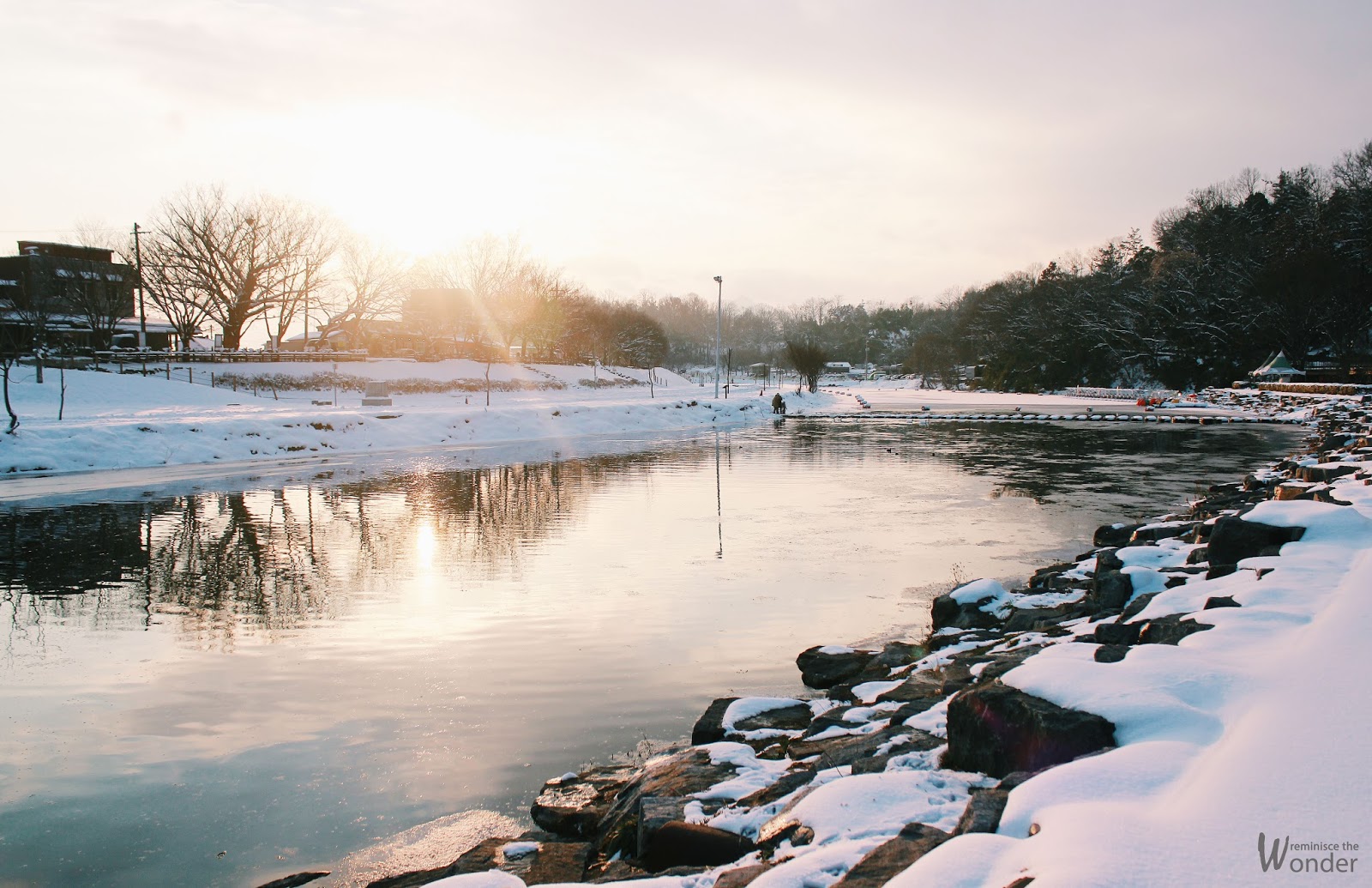 Winter Wonderland in Damyang Pt. 3 - Gwanbangjerim Forest (관방제림 ...