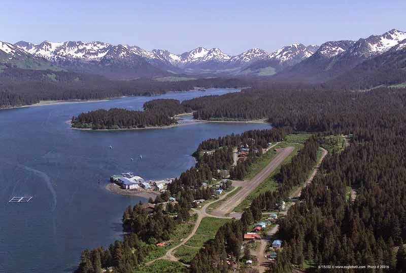 Ristow Family Adventures: The Journey Begins...