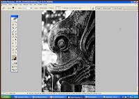 España vista desde mi cámara...: BLANCO Y NEGRO (MÉTODO ROB CARR ...