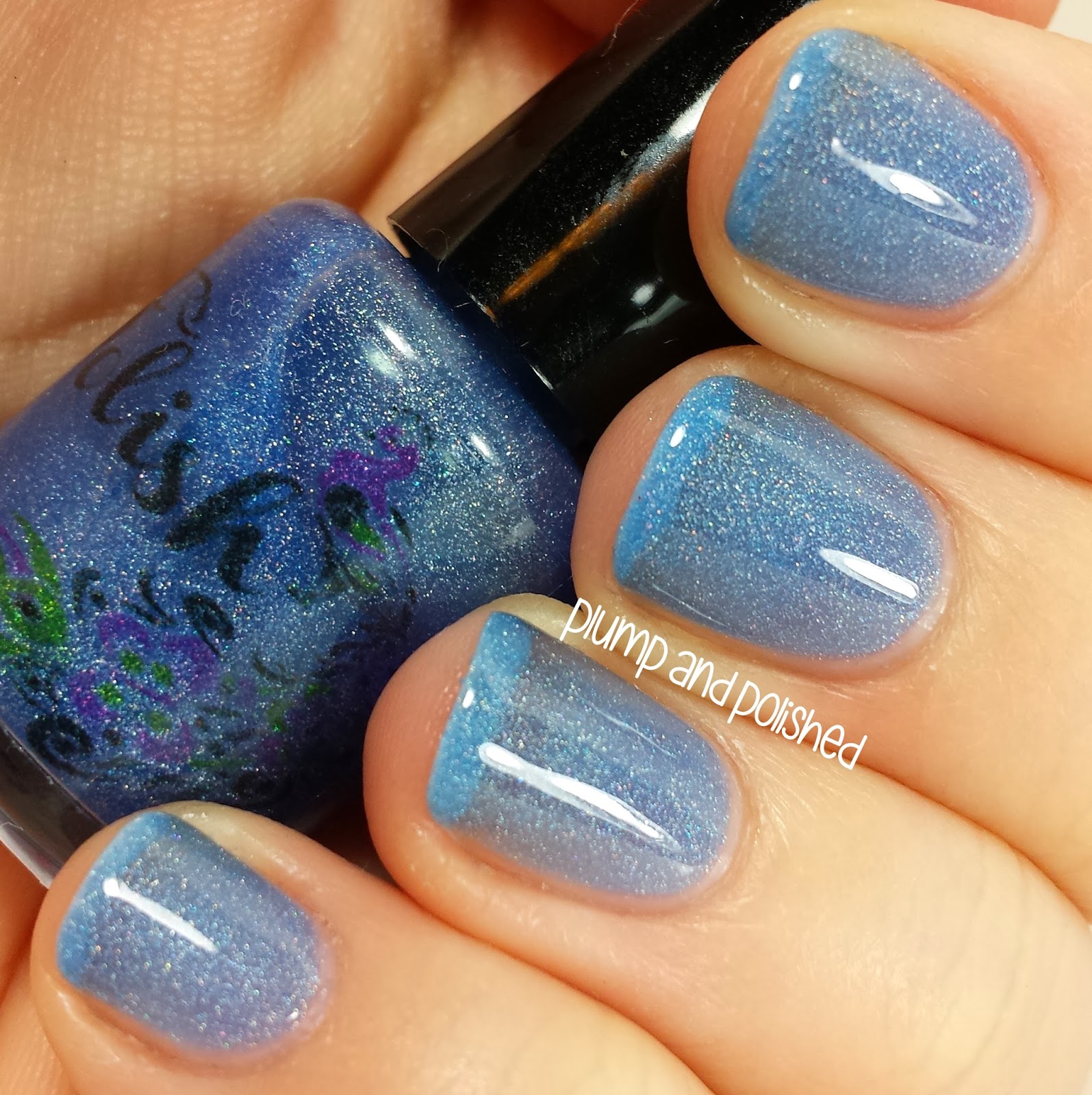 Plump and Polished: ZR's Polish - Ashley Holo Collection