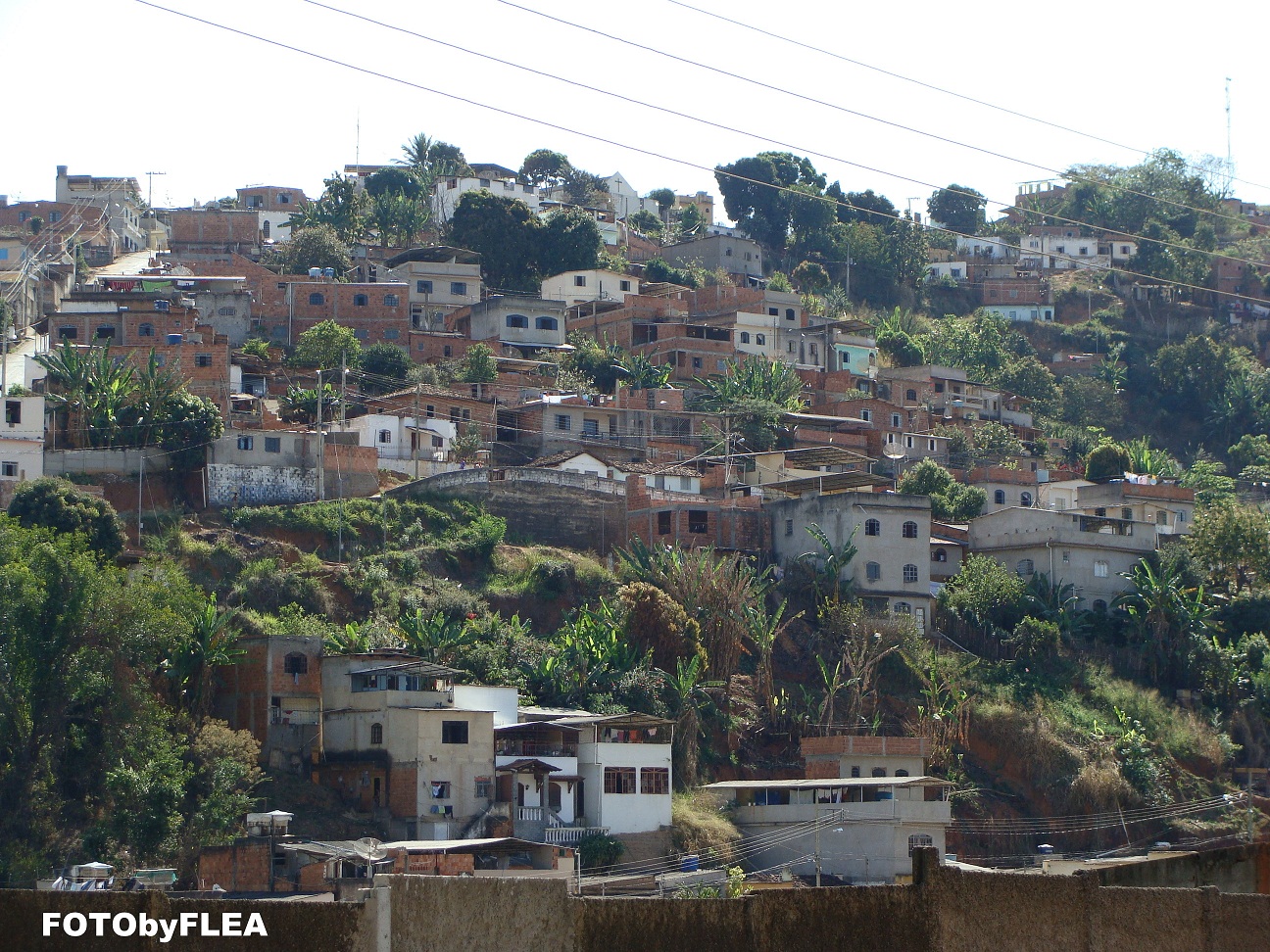 TURISTANDO PELO MUNDO: CARATINGA / CIDADE ESPERANÇA / TERRA DAS PALMEIRAS