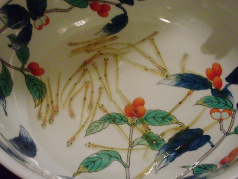 Odorigui: Tradición y ¿crueldad? ~ Team IOPA