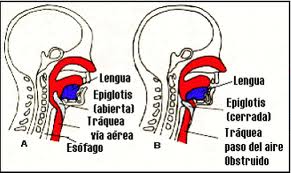 LLENO LA VIDA, CON UN SUSPIRO