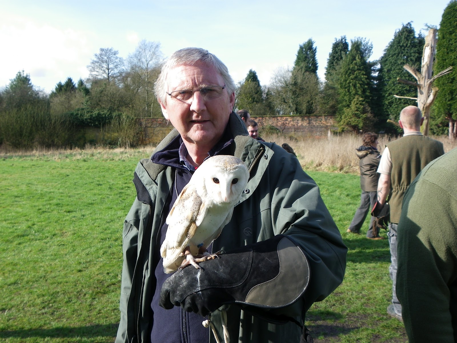neil's birding life: Falconry