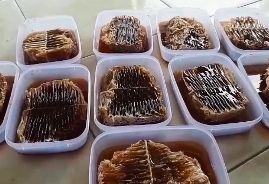 √ Distributor Madu Asli di Banda Aceh - Spesialis Madu | WA: 081361610844