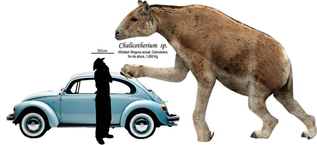 Extinct Animal of the Week: Digging Into Mammals