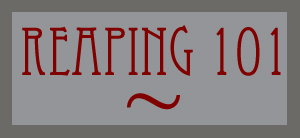 Gori Suture's The Color Of Paradox: Reaping 101 ~ The Parts of an ...