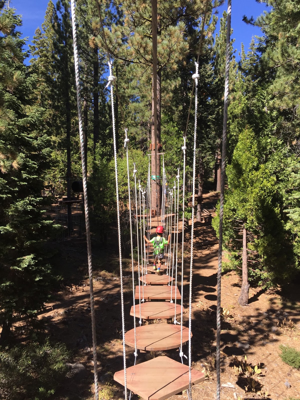 Run-Hike-Play: Fun Times at Treetop Adventure Park - Granlibakken Resort
