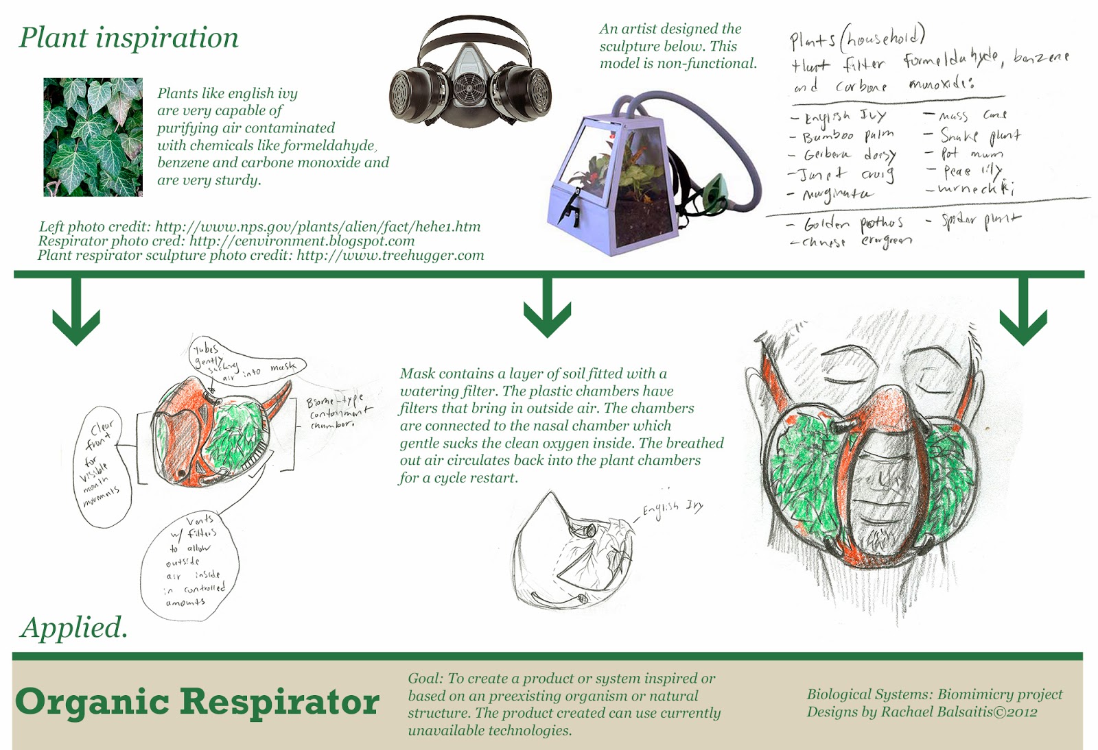 biosystems: biomimicry project examples