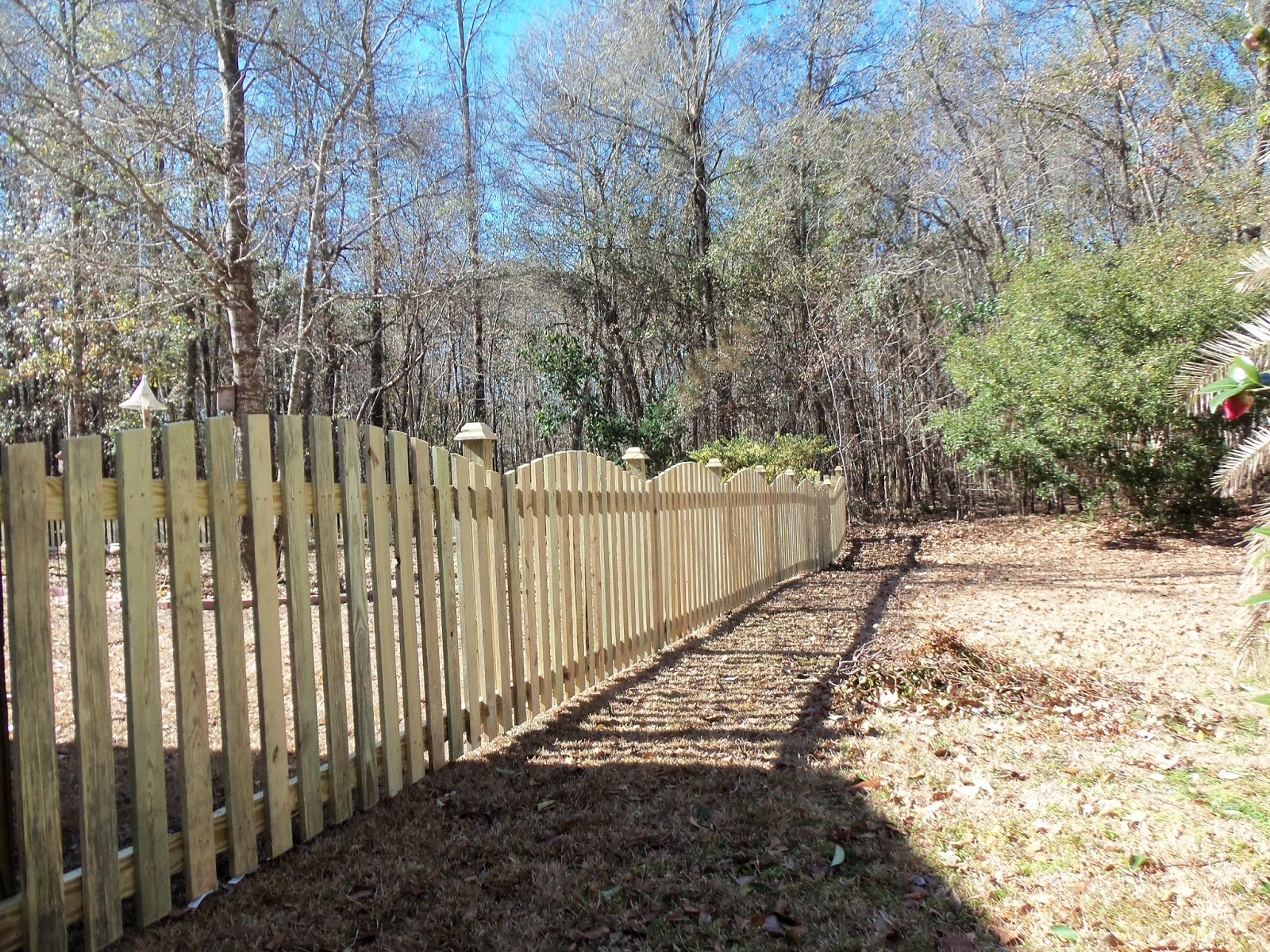 Town & Country Fences, LLC: Planters Point Newest Picket