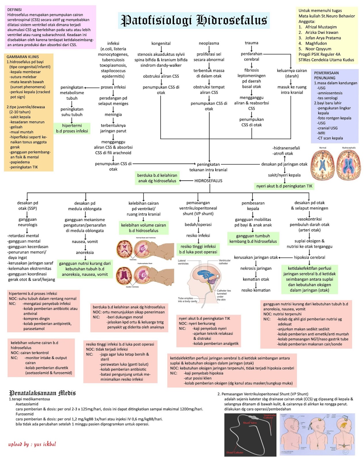 PATHWAY HIDROSEFALUS NEW