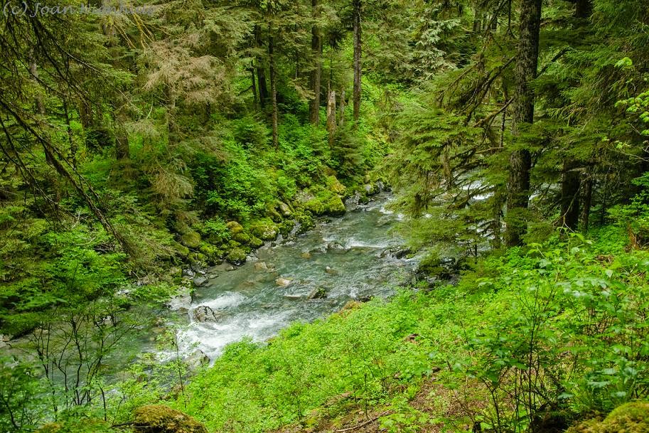 Pacific Northwest Photography: Boulder River Waterfall