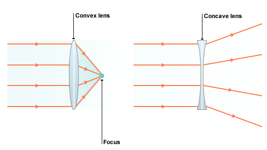 SCIENCE BLOG. YEAR 4: REFRACTION OF LIGHT