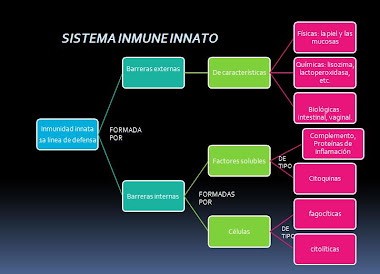 INMUNOLOGÍA DIDÁCTICA: INMUNOLOGIA BLOG