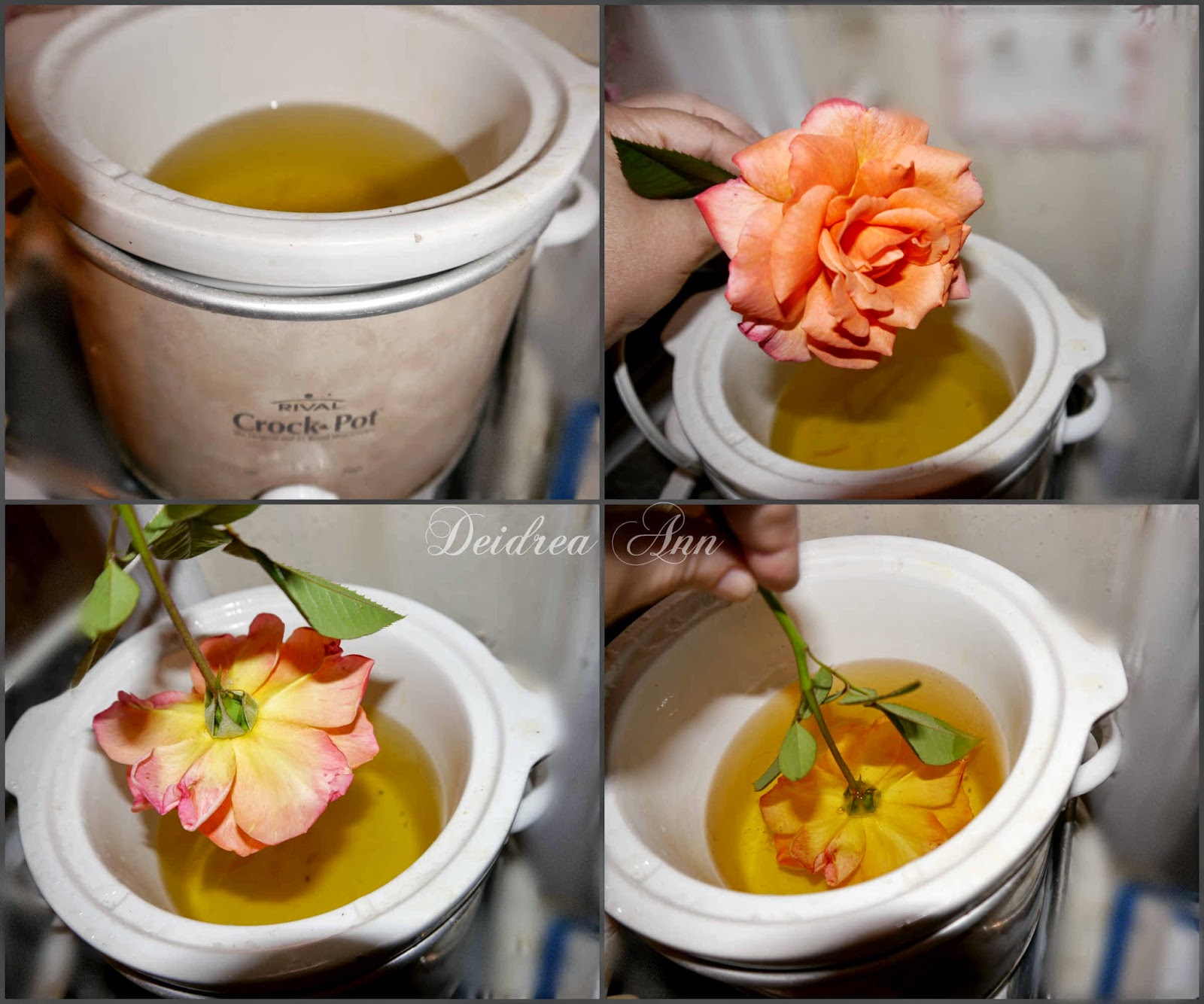 Suzy Homefaker: Wax dipped Flowers